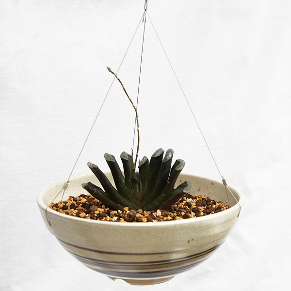 BROWN by 2-tacs "GROW POT & HANGING POT" ：BROWN by 2-tacs｜2-tacs